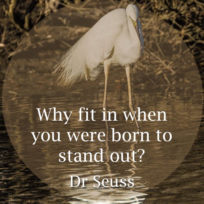 Why fit in when you were born to stand out? - Return to Source ...